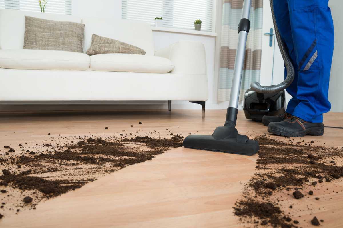 Best Vacuum for Hardwood Floors? | Arizona Hardwood Floor Supply